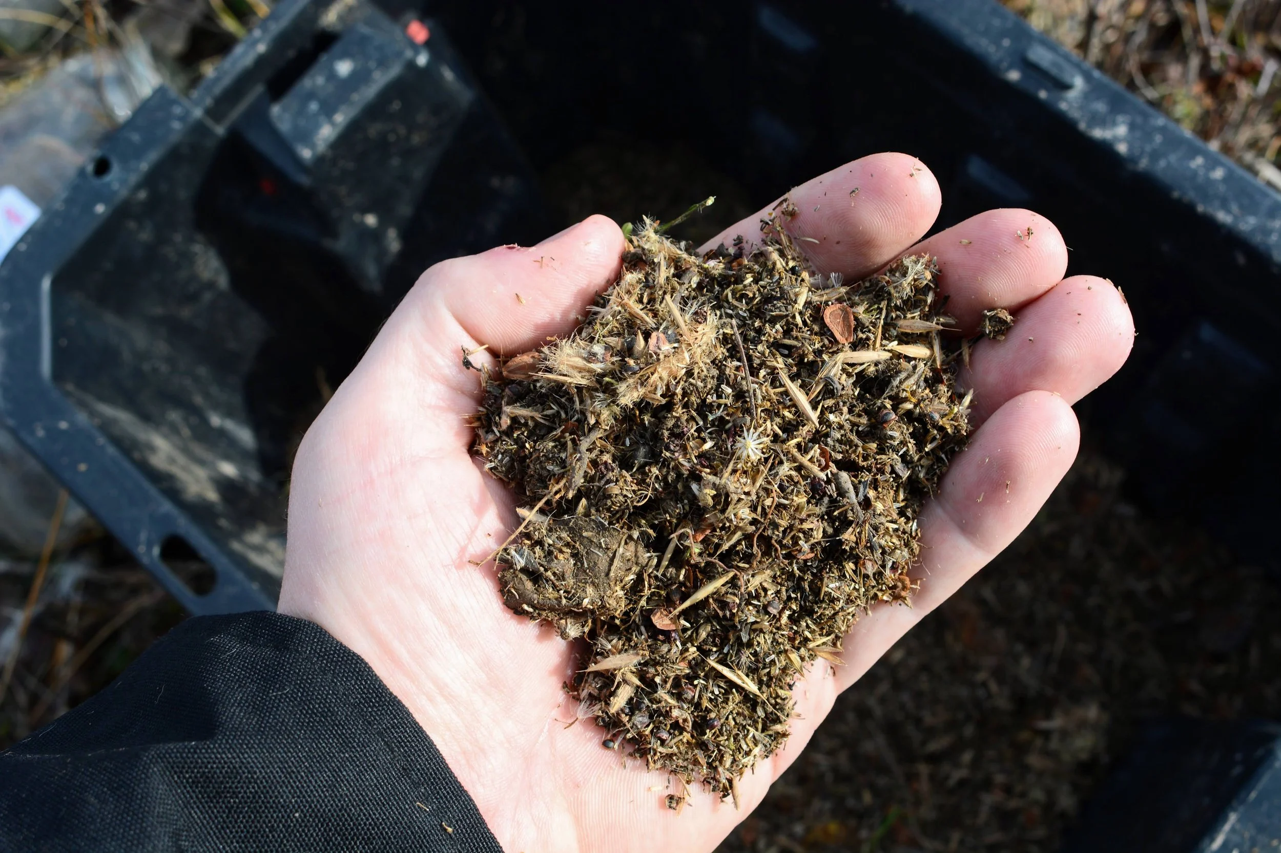 Habitat Restoration in Progress at Two Preserves & Tuttle Marsh — Huron ...