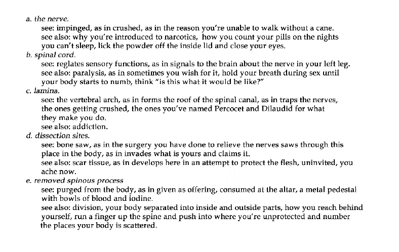 Anatomy of Your Vertebrae After Surgery, by Madison Frazier — Barrelhouse