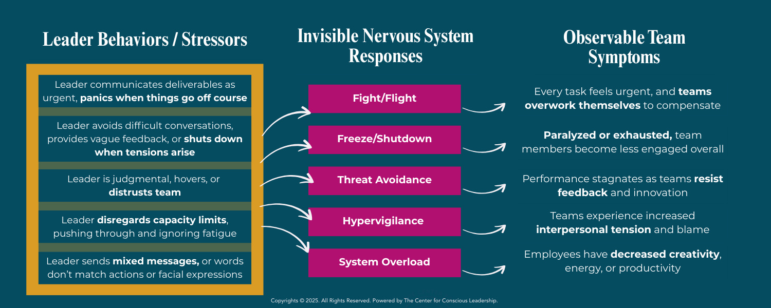 What Is Co-Regulation? The Secret to Leading High-Performing, Resilient ...