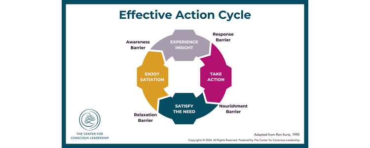 The Leadership Action Cycle: How to Lead Through Crisis, Uncertainty ...