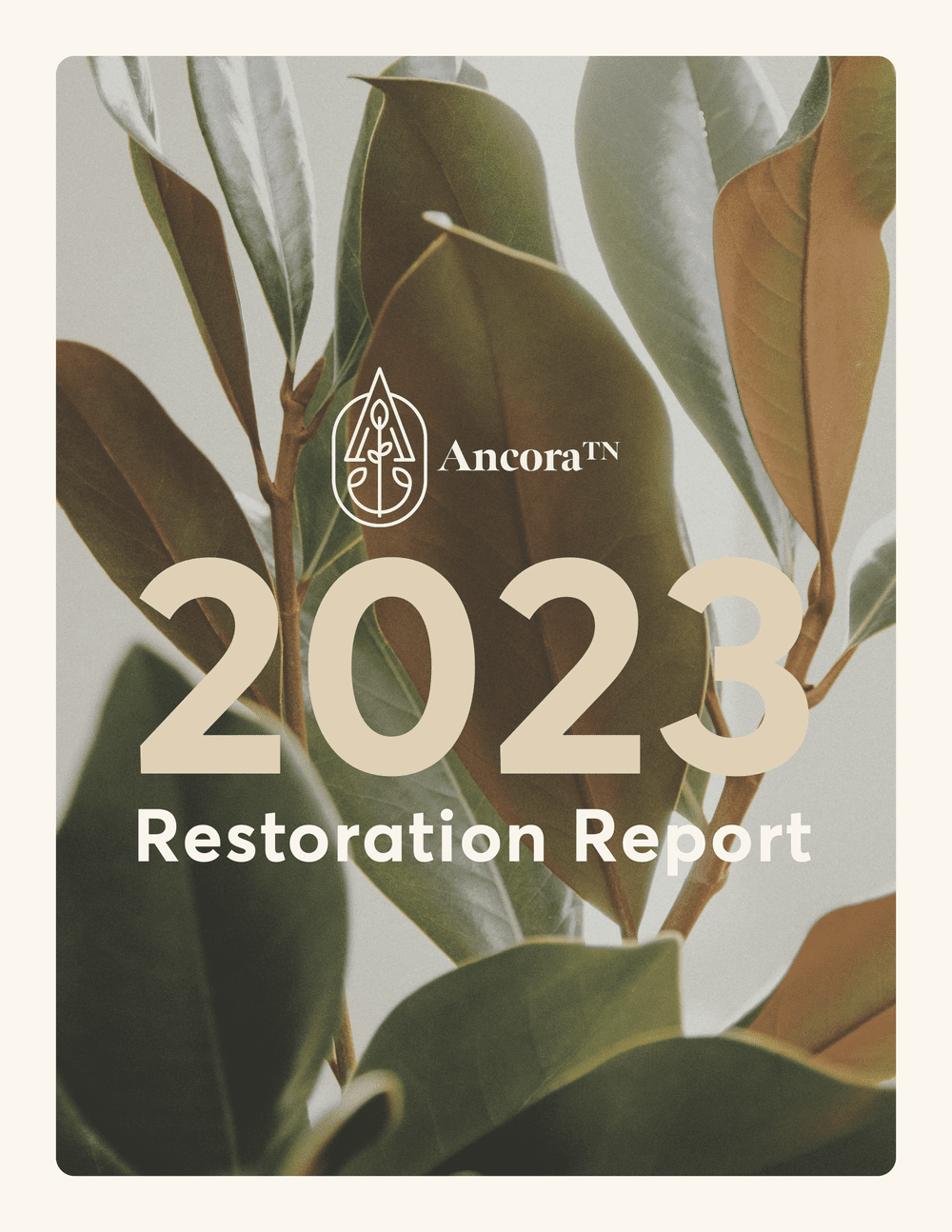 Restoration Report — AncoraTN