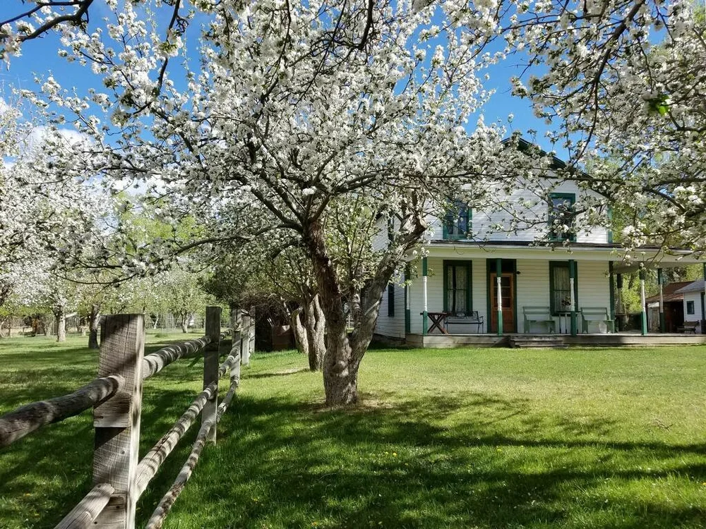 About Buena Vista Heritage — Buena Vista Heritage