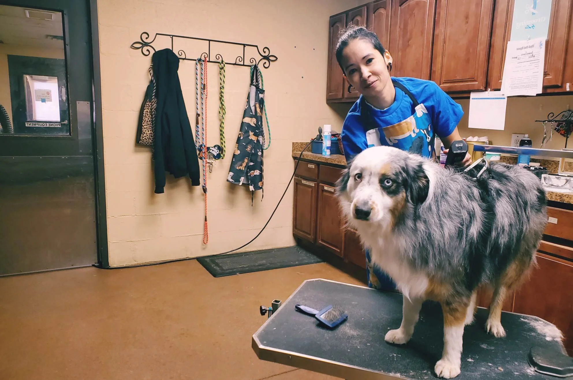 Grooming — Club Pet Resorts