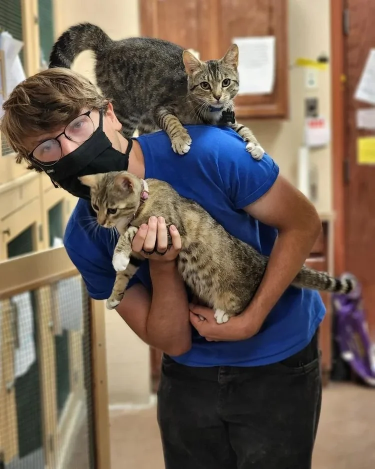 Club Pet Resorts | Your Pet's Adventure Awaits