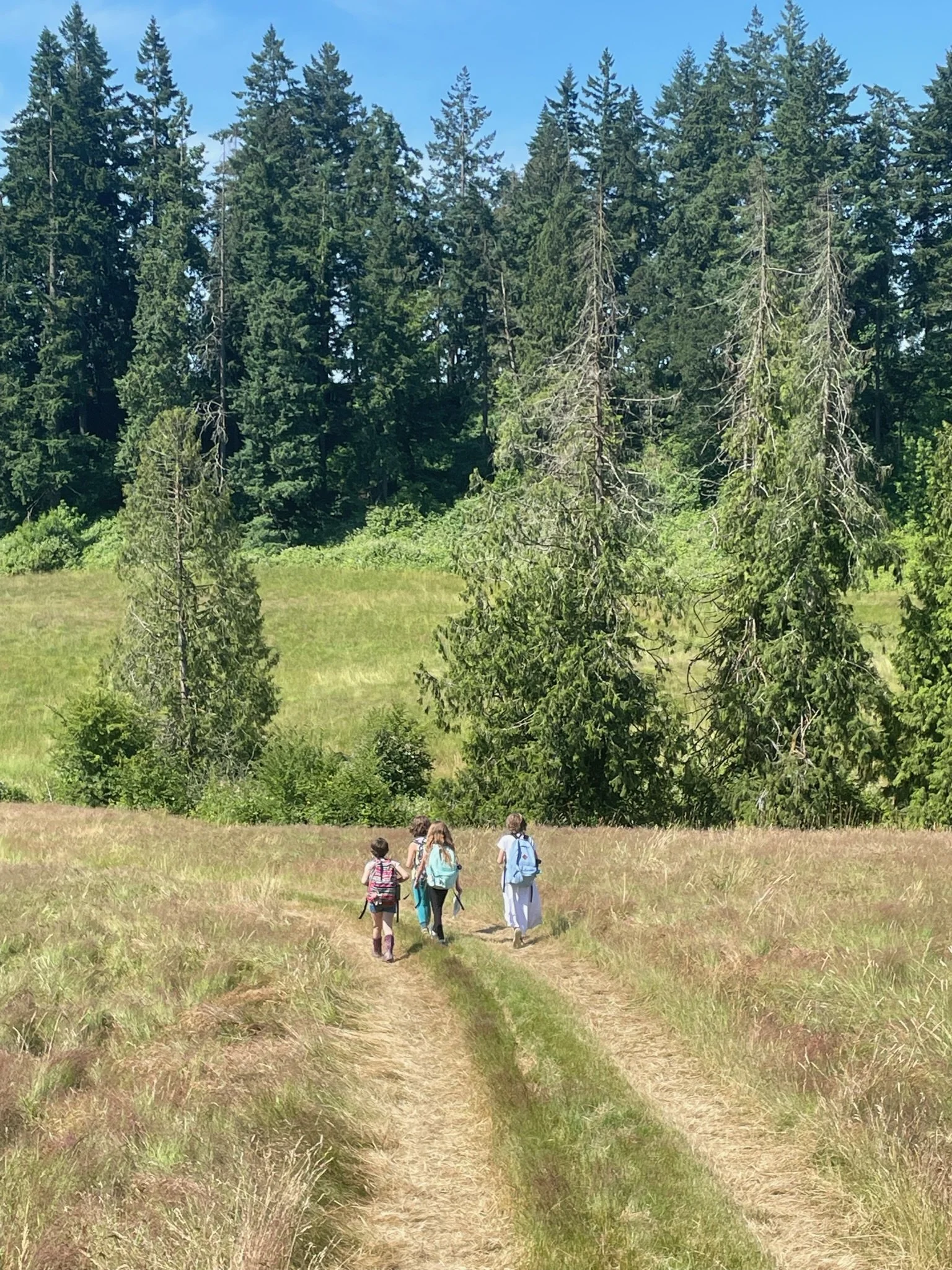 Registration — Tree Folk