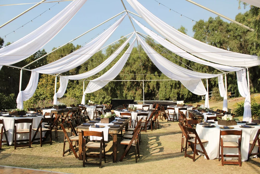 Reception — Elegant Event Rental