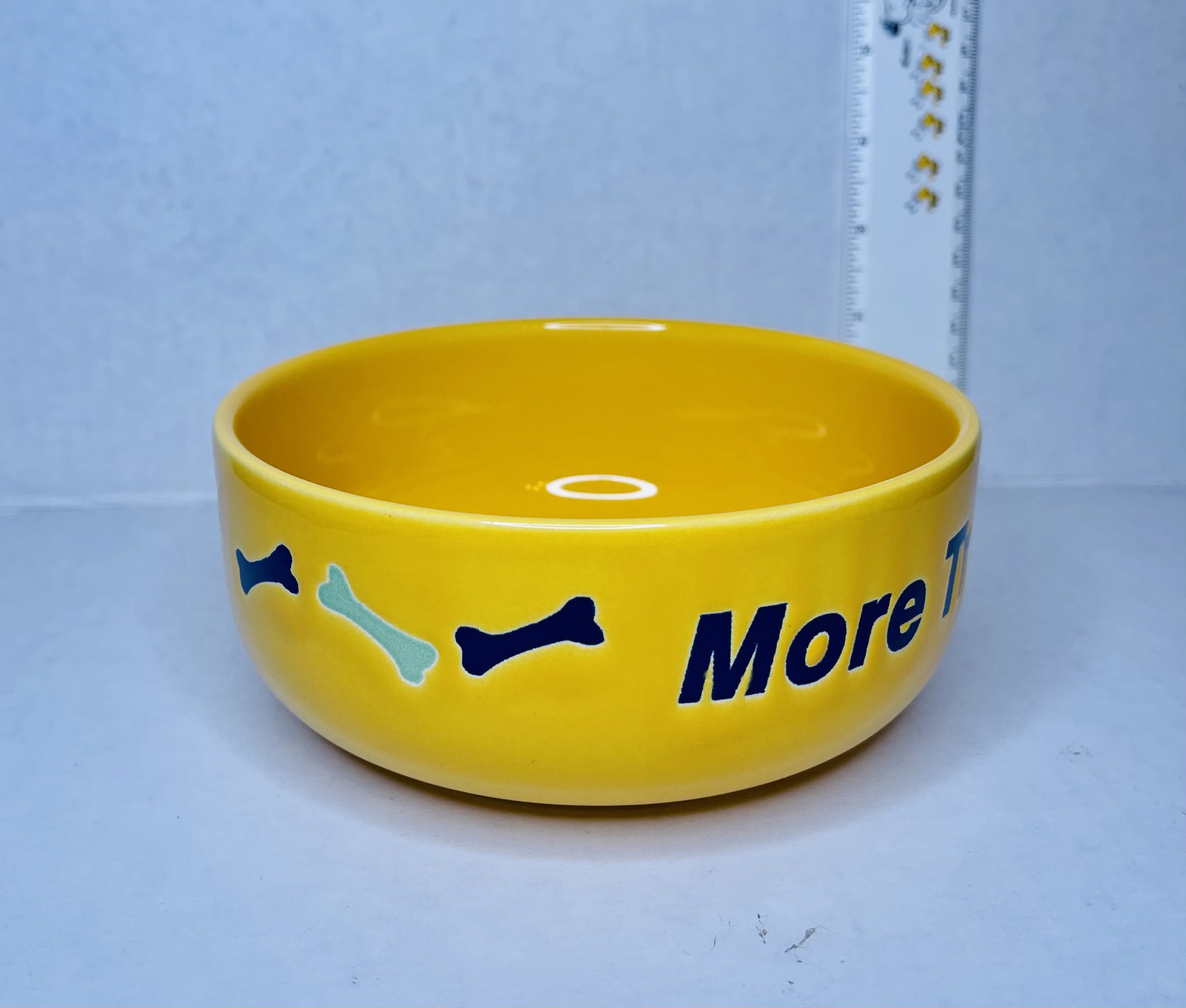 Snoopy Bone Shaped Tin — Selling Peanuts