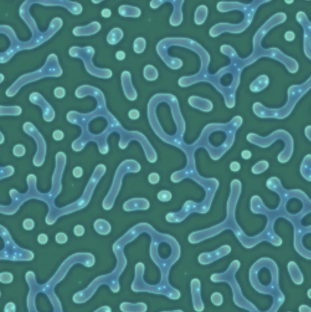 Alexander Mordvintsev — Kate Vass Galerie