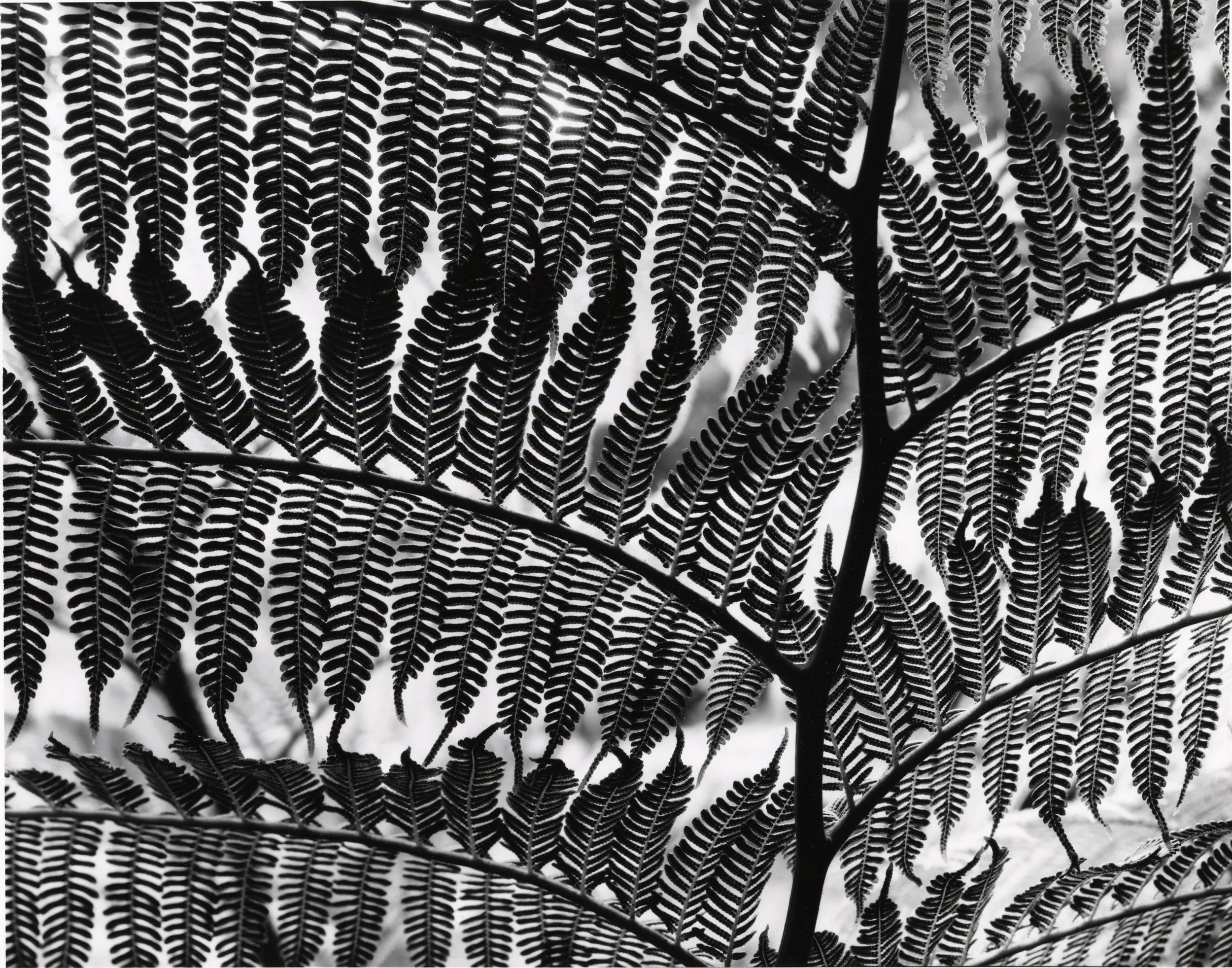 Kate Vass Galerie | Contemporary Art Gallery | Zurich, Switzerland