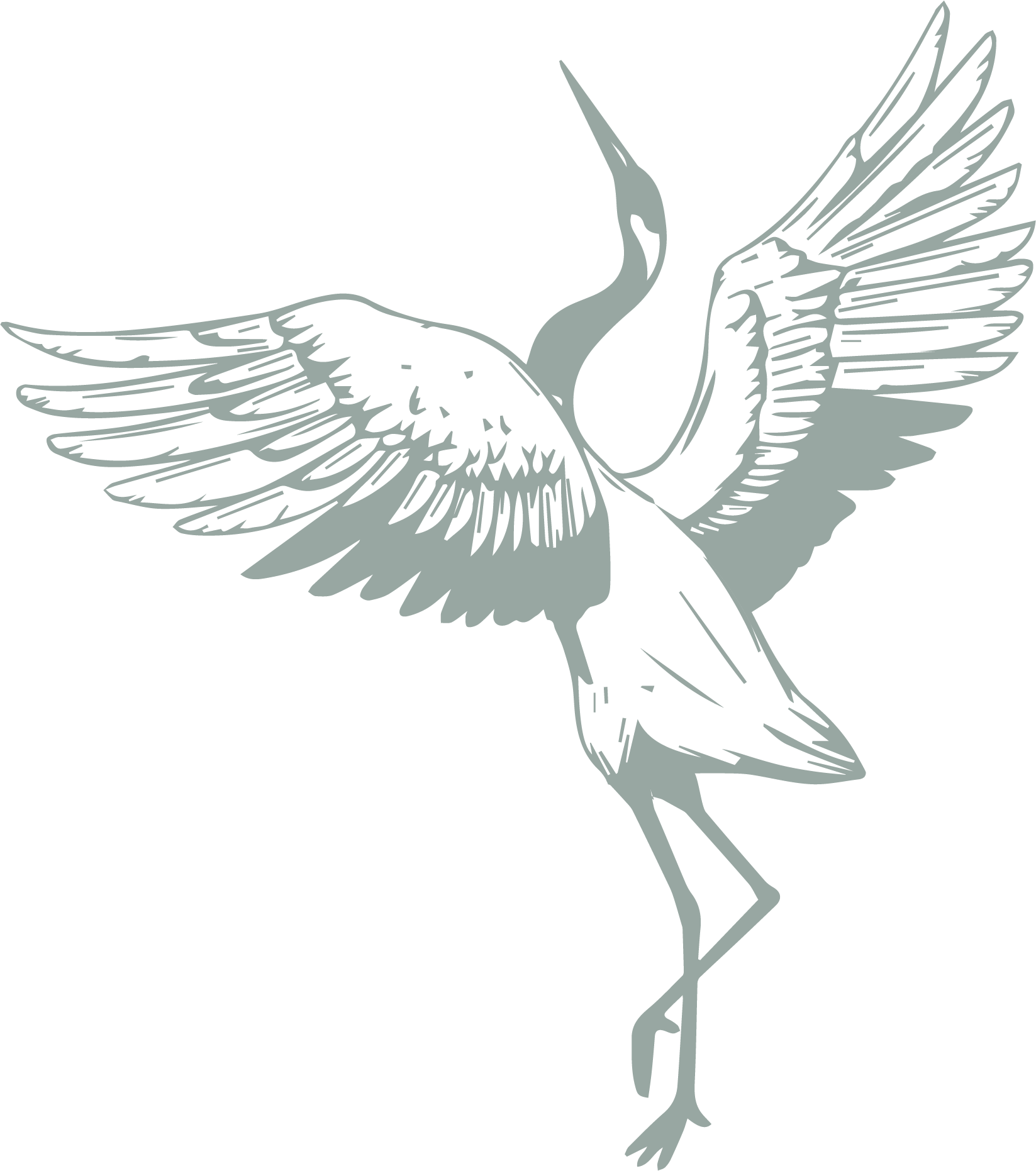 Discover By Condition — Katie Brindle