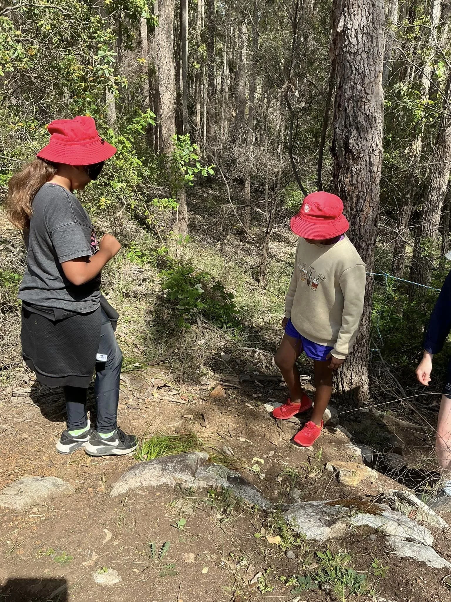 Activities — Mornington Adventure Camp