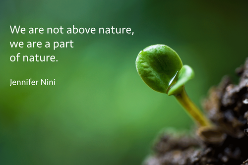 How Nature Friendly Are You? — Sustainable Wells