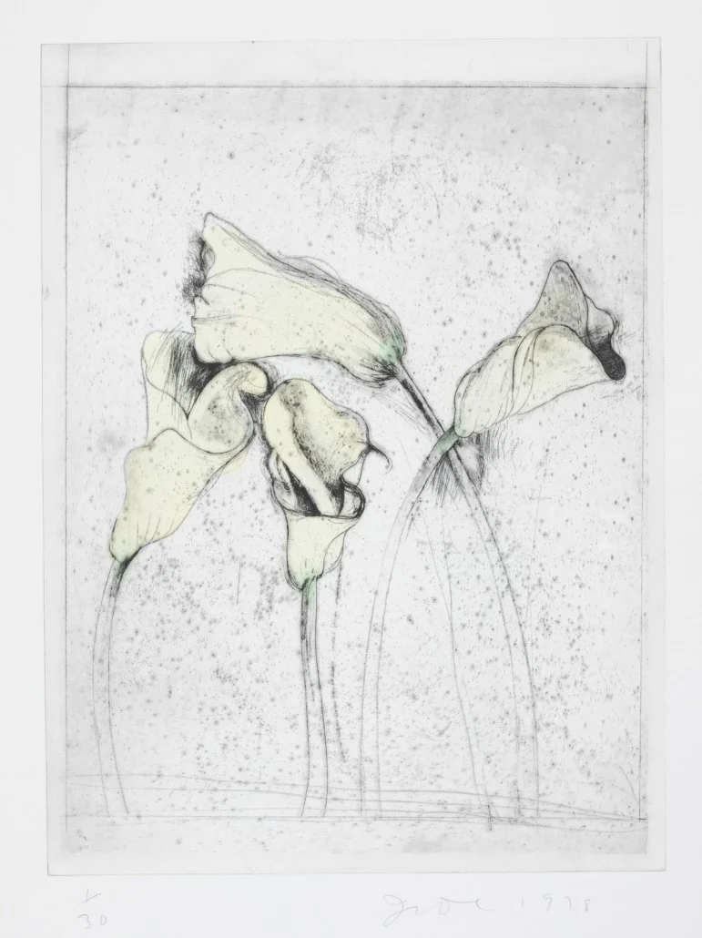 Jim Dine — Foundation for Art & Preservation in Embassies | FAPE