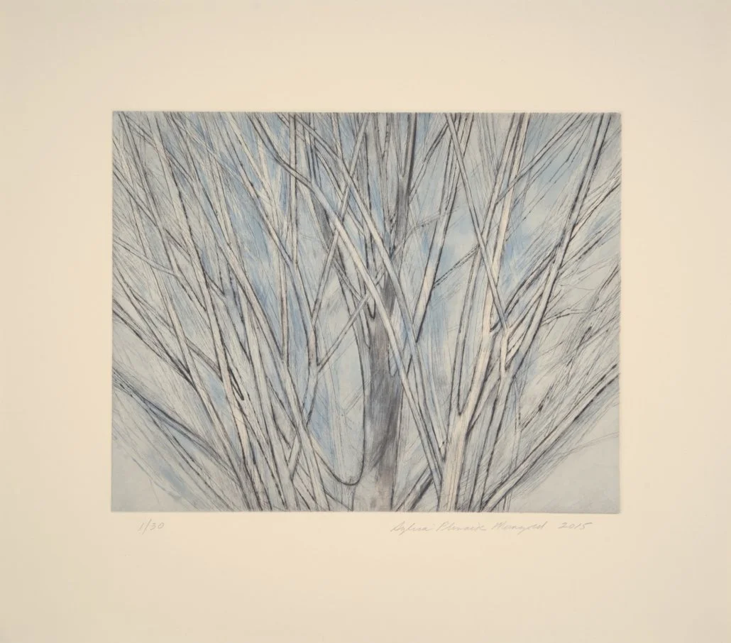 Sylvia Plimack Mangold — Foundation for Art & Preservation in Embassies ...