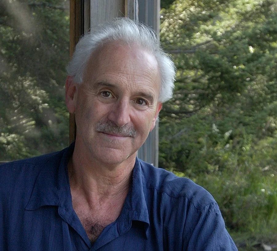 Michael Singer — Foundation for Art & Preservation in Embassies | FAPE