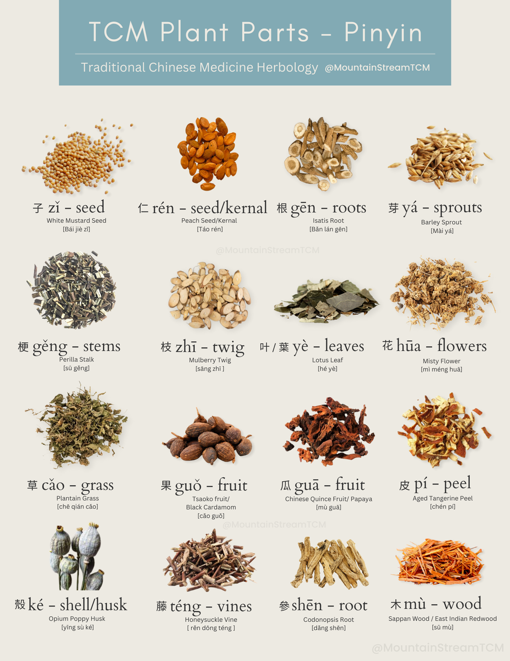 Visual Guide to Pinyin: TCM Plant Parts — Mountain Stream TCM ...
