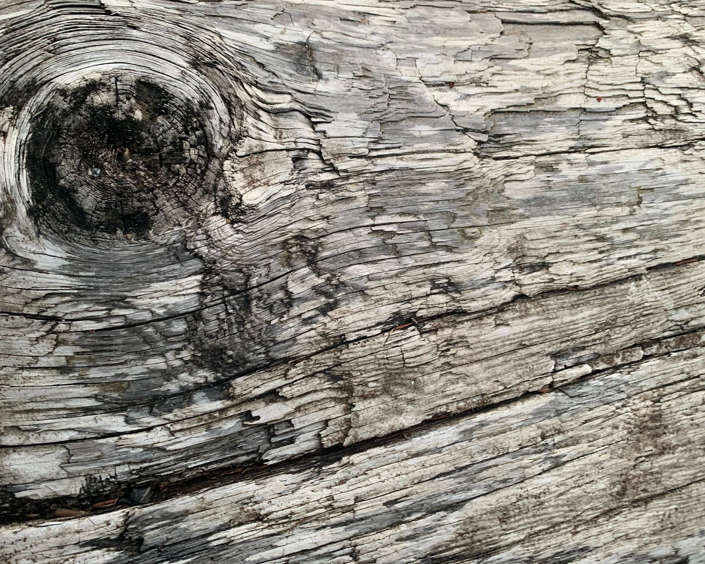 Claira Young - Your Body Works