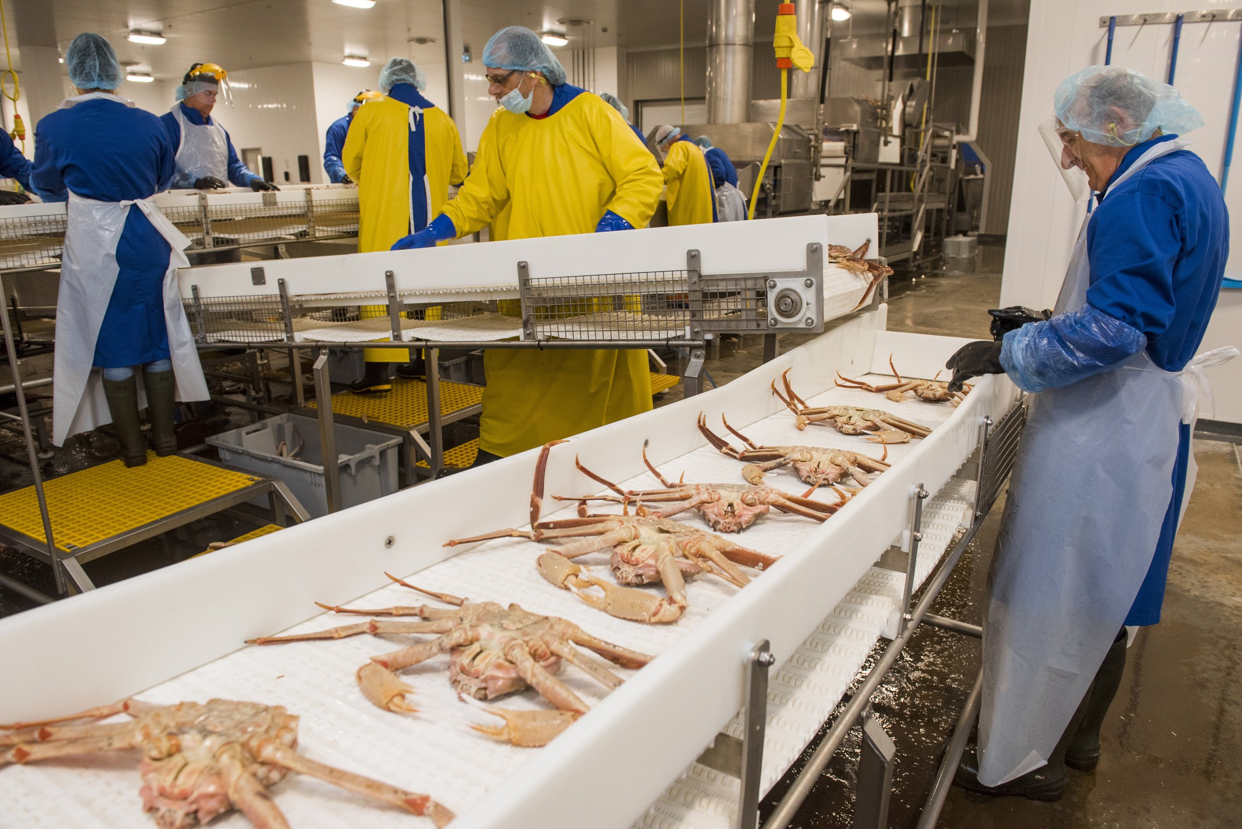 About Us — McGraw Seafood