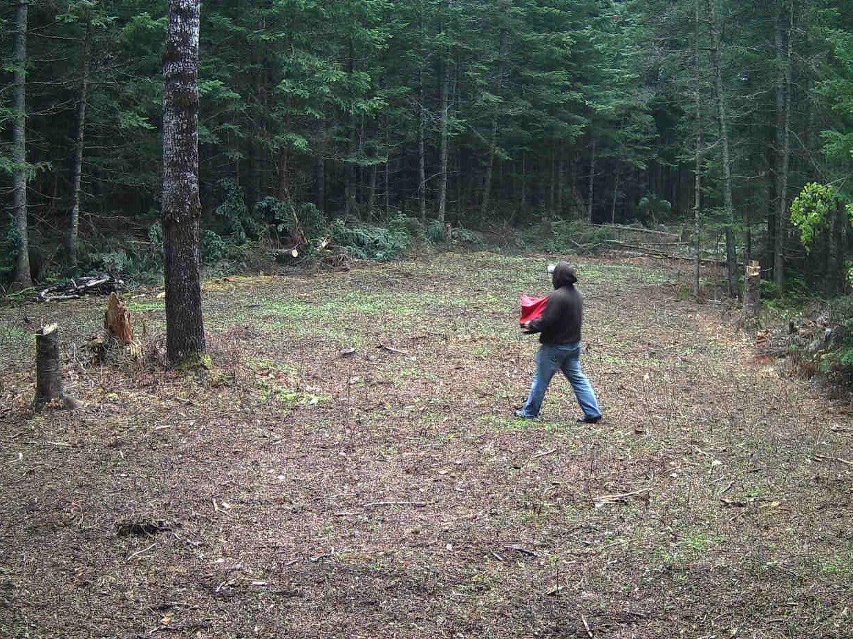 My Favorite Fall Food Plot Mix — Silver Valley Outdoors