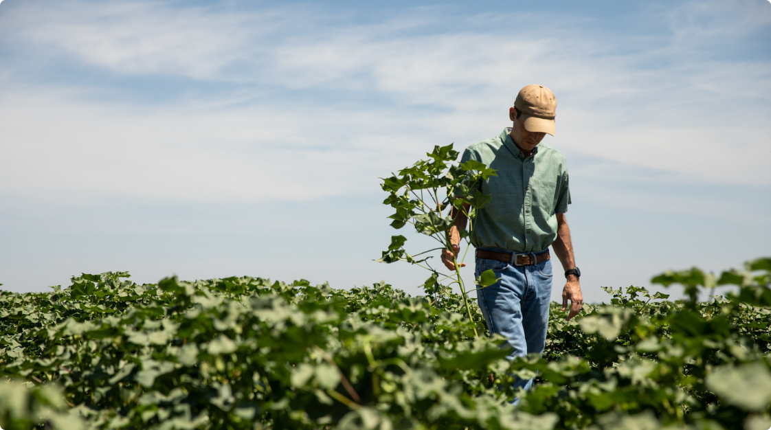 News — Laguna | Sustainable Textiles Made in LA