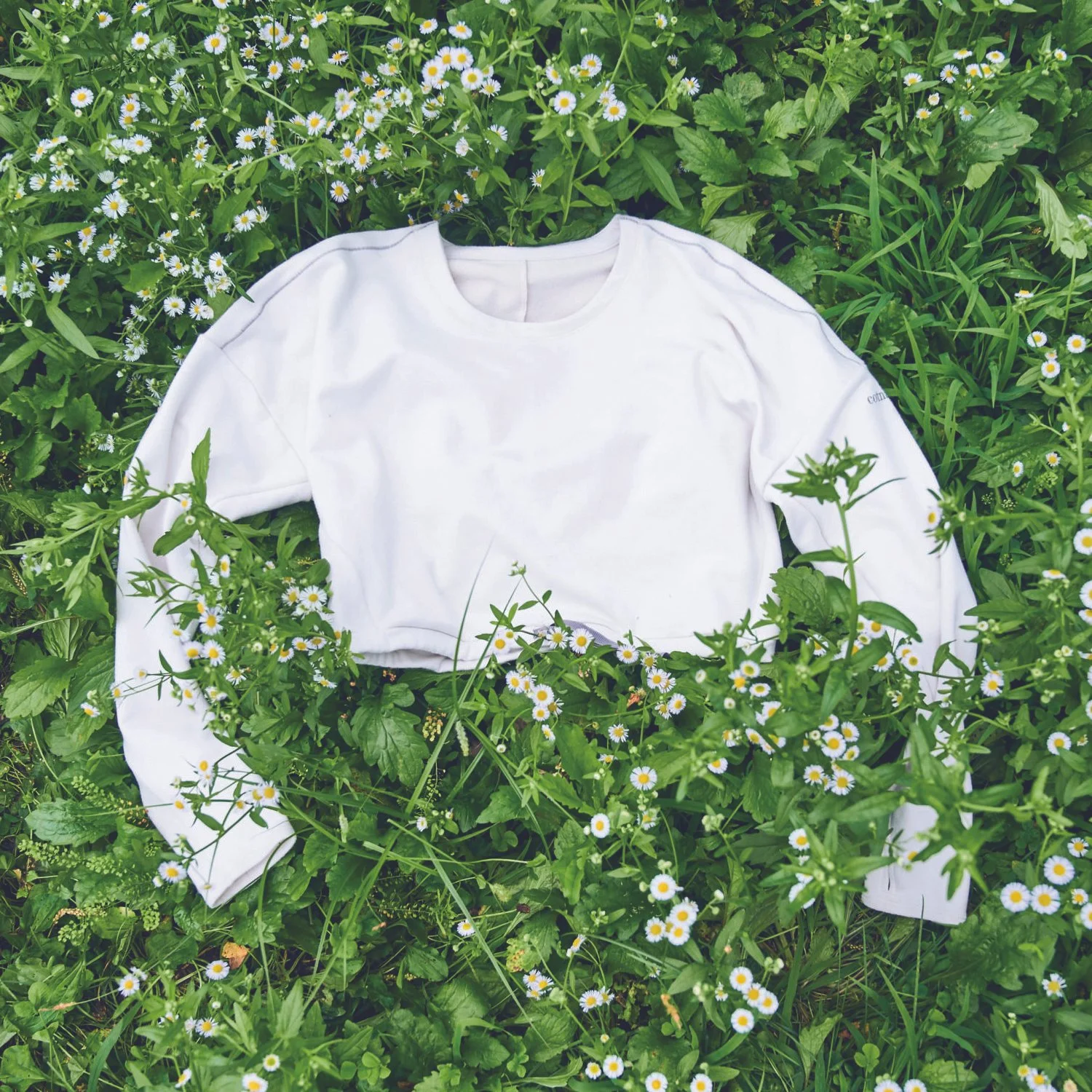 Materials — Laguna | Sustainable Textiles Made in LA