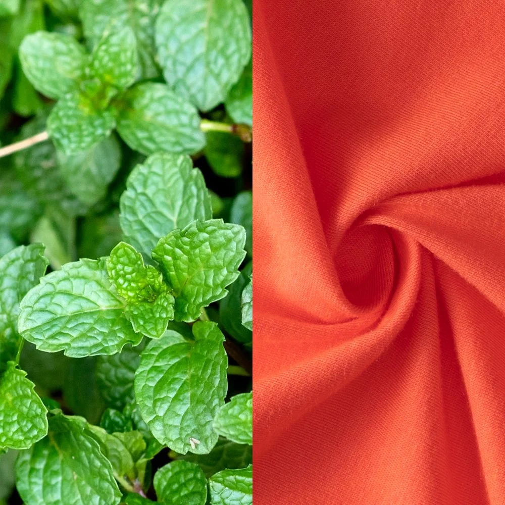 Materials — Laguna | Sustainable Textiles Made in LA