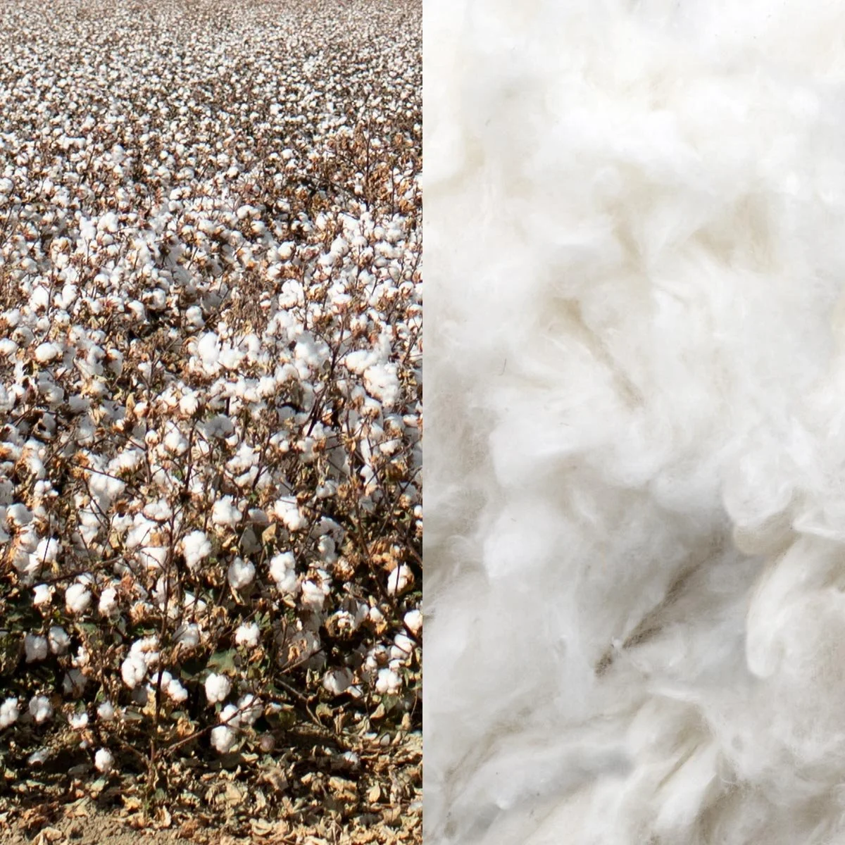 Materials — Laguna | Sustainable Textiles Made in LA