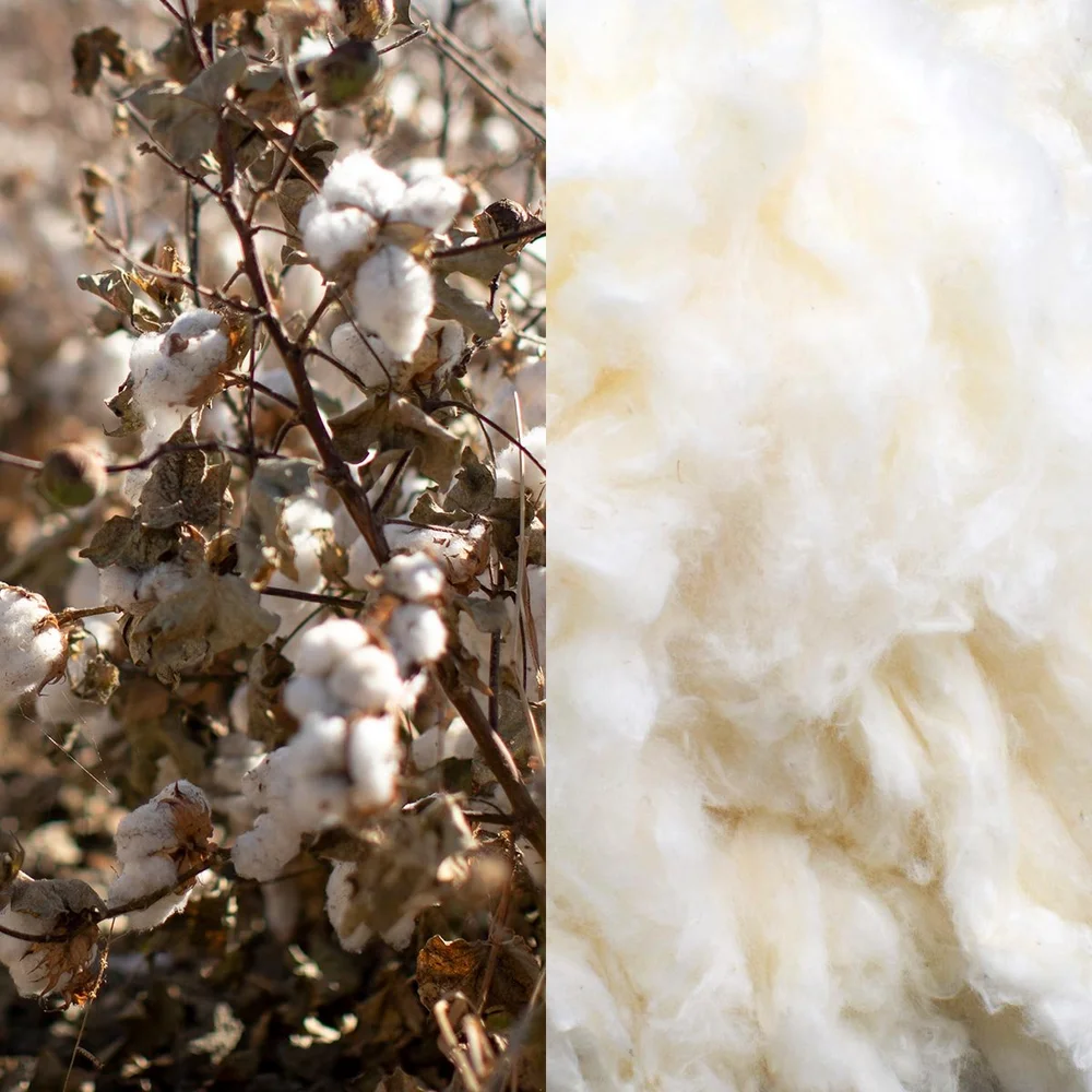 Materials — Laguna | Sustainable Textiles Made in LA