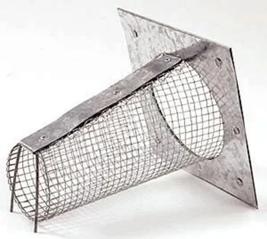 How to keep your quail nearby, a way to recall your quail for dog ...