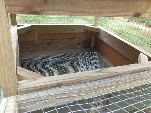 How to keep your quail nearby, a way to recall your quail for dog ...