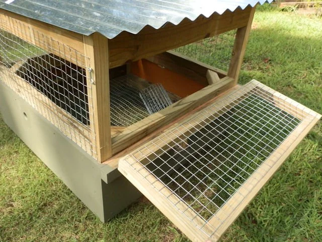 How to keep your quail nearby, a way to recall your quail for dog ...