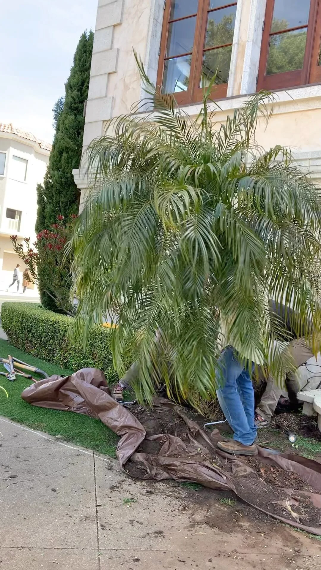 Xeric Oasis: A landscape design company specializing in drought ...