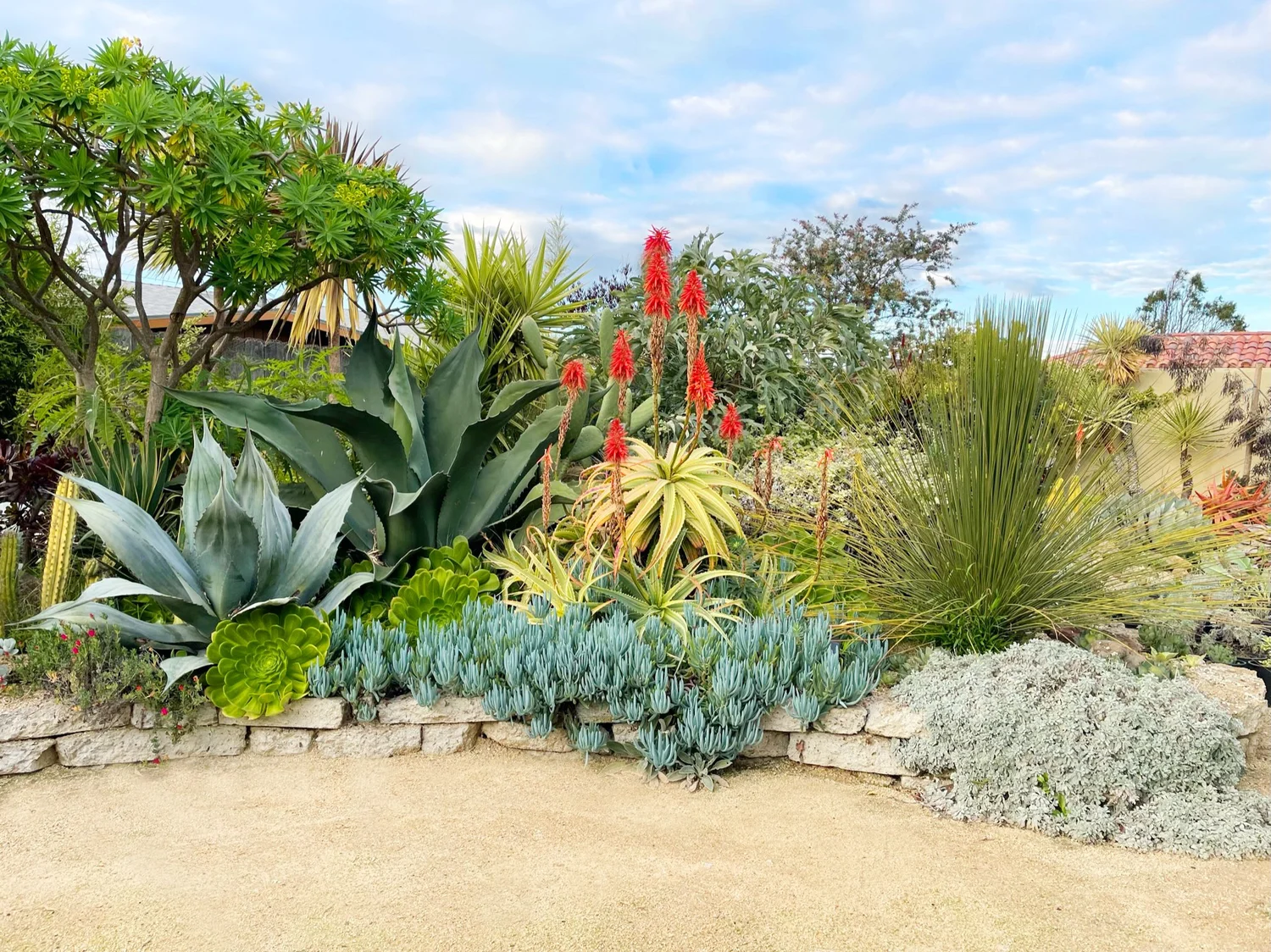 Xeric Oasis San Francisco Bay Area Landscape Design Company