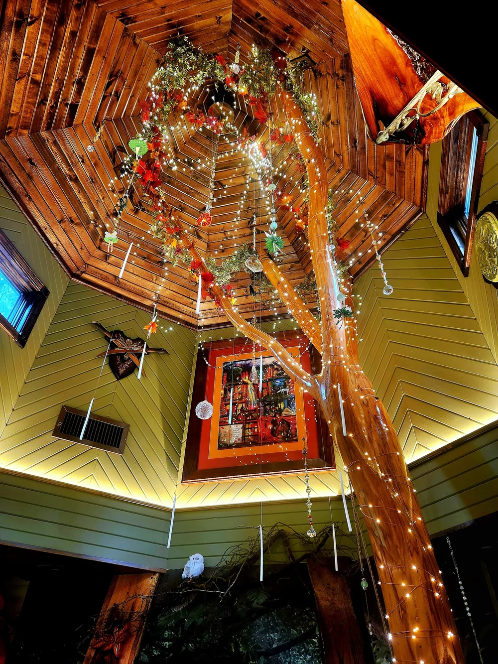 Gallery — Enchanted Forest Treehouse