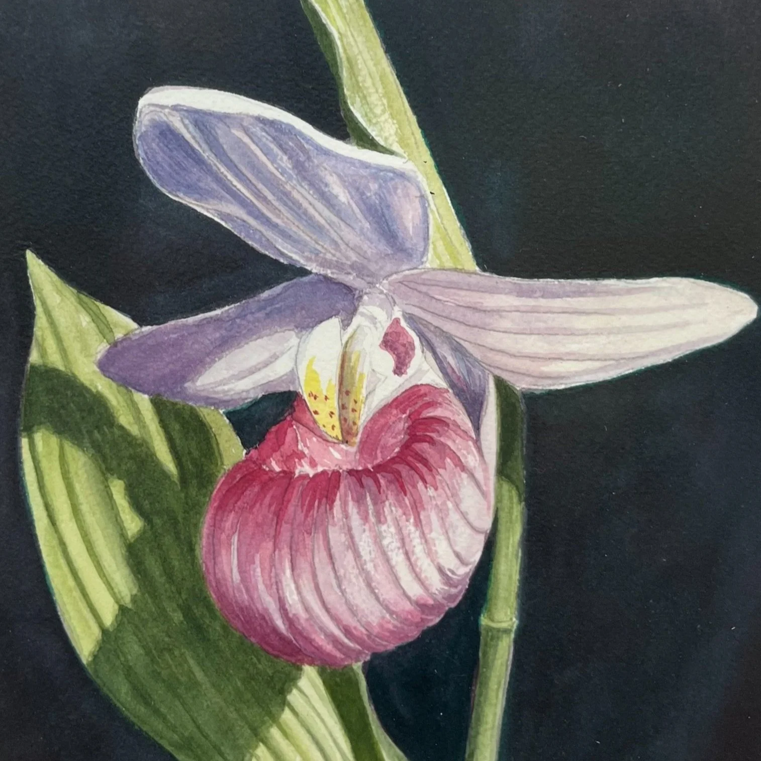 Artists — Ghost Ship Gallery