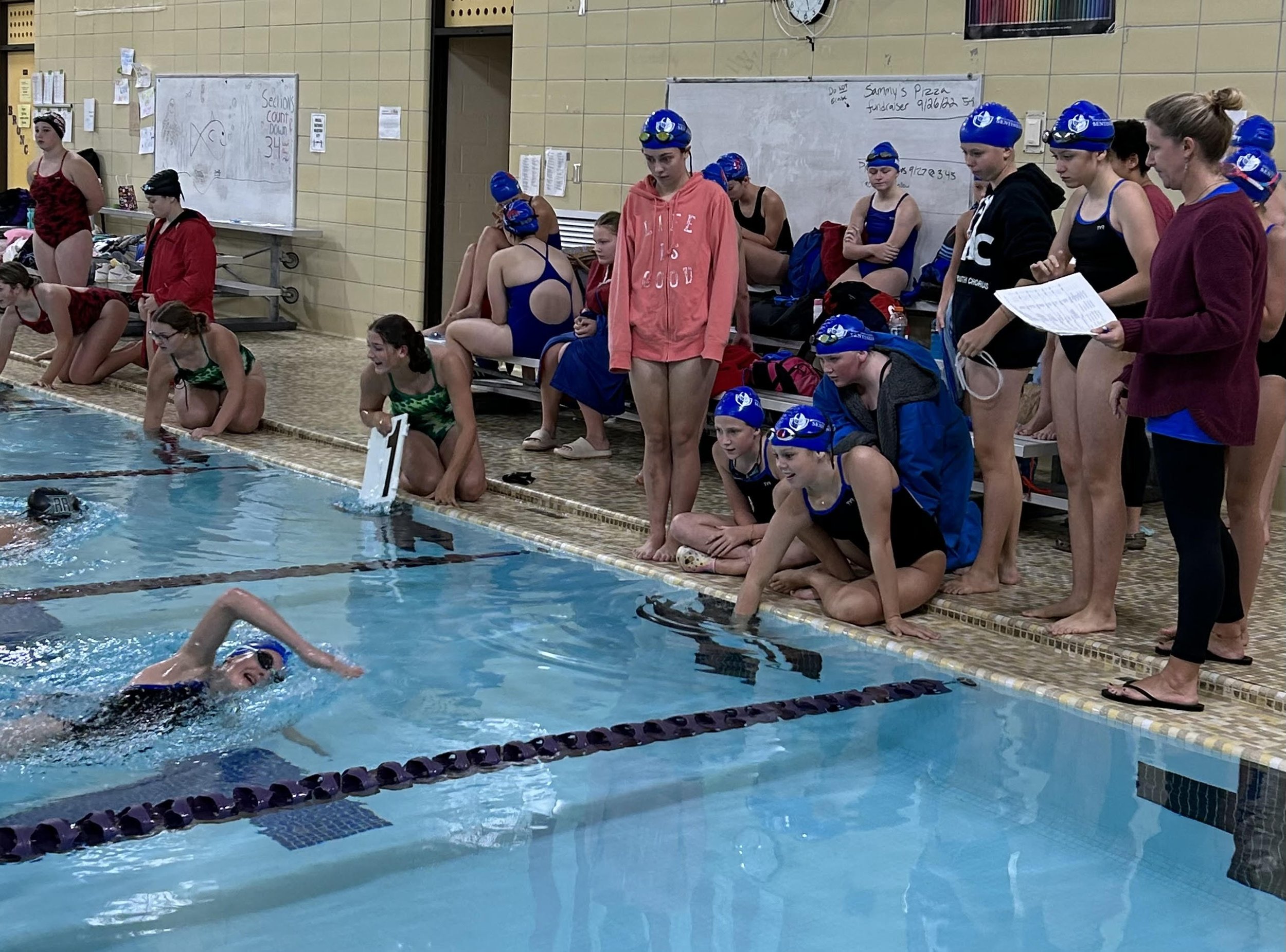 Girls Swimming — Stella Maris Academy Sentinels