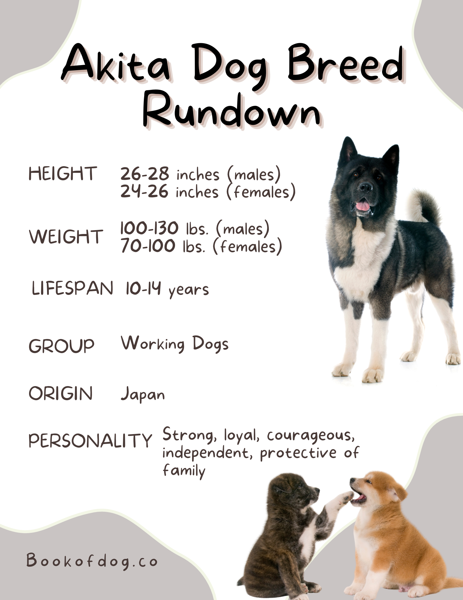 Akita Dog Breeding Chart _ Understanding The Dog Heat Cycle Stages ...