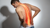 Understanding Vertebrogenic Low Back Pain: Causes, Symptoms, and ...