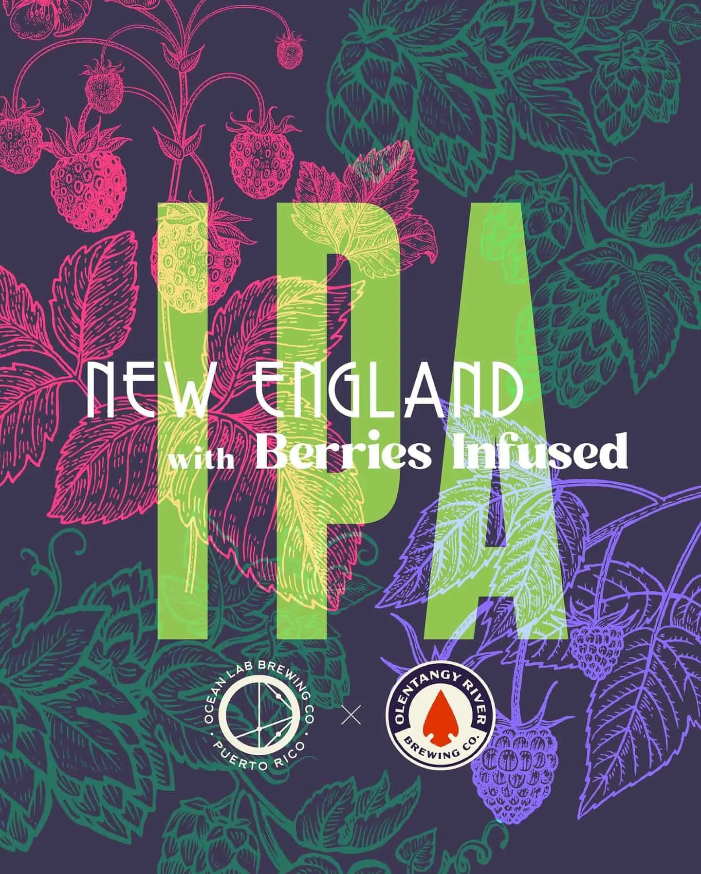 Ocean Lab Brewing colabora con Olentangy River Brewing para lanzar ...