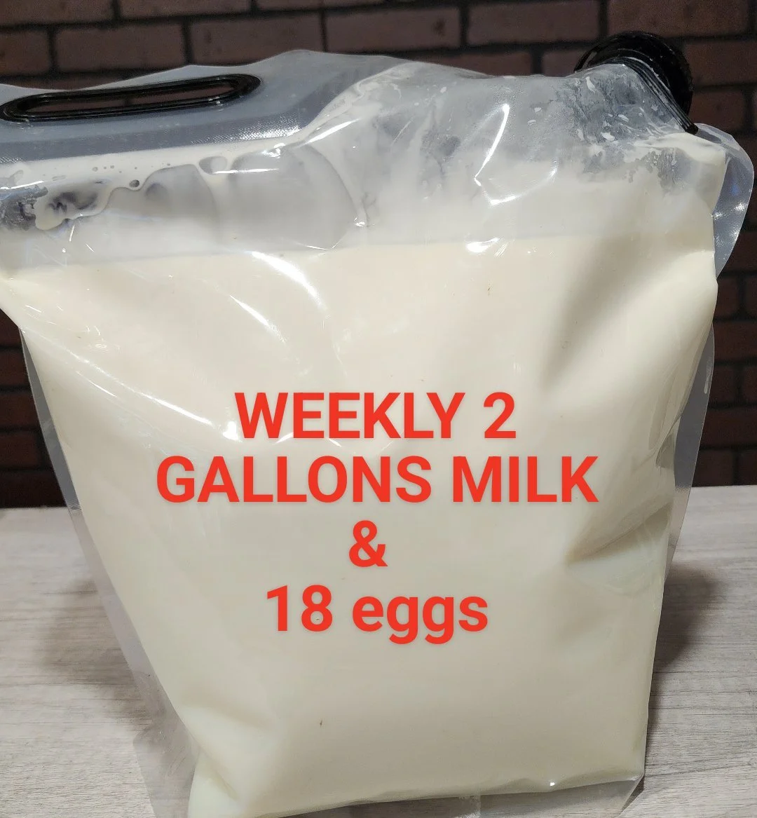 1 Gallon Milk - Weekly Subscription — Whitt's End Cattle Depot