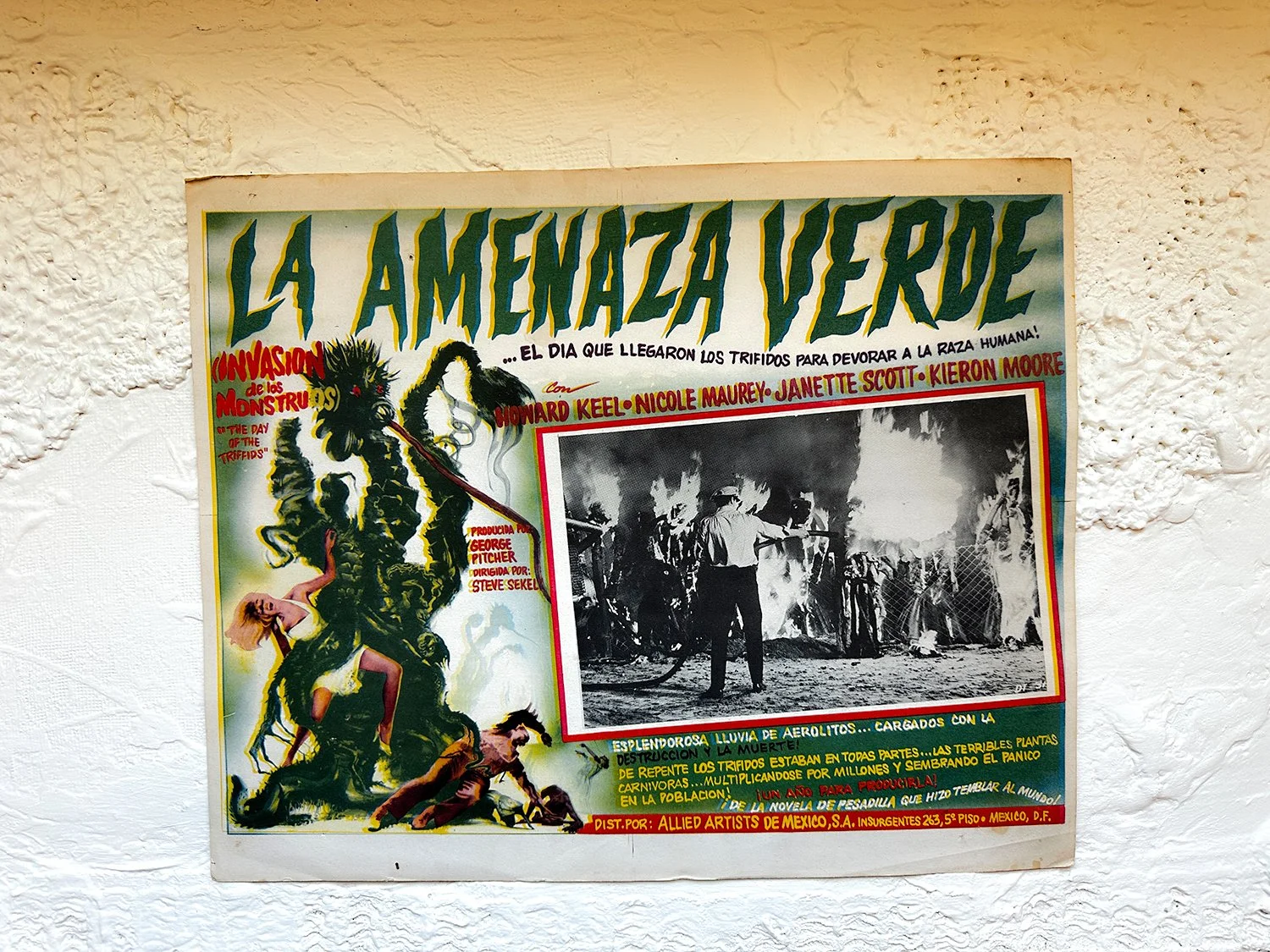 what's new — cameroncountymercantile.com