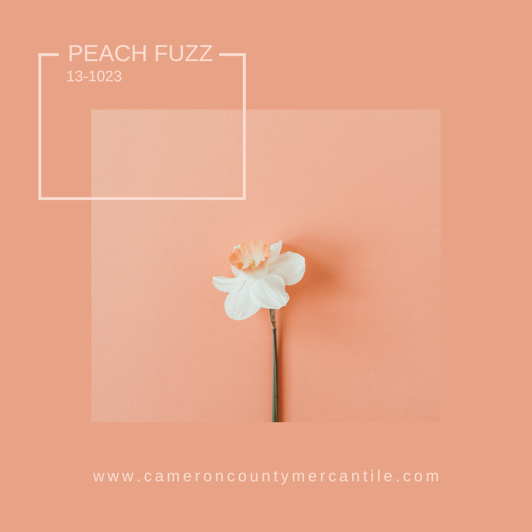 Peach Fuzz — cameroncountymercantile.com