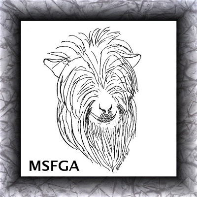 Mini Silky Fainting Goats for Sale — Racing for Home Farm