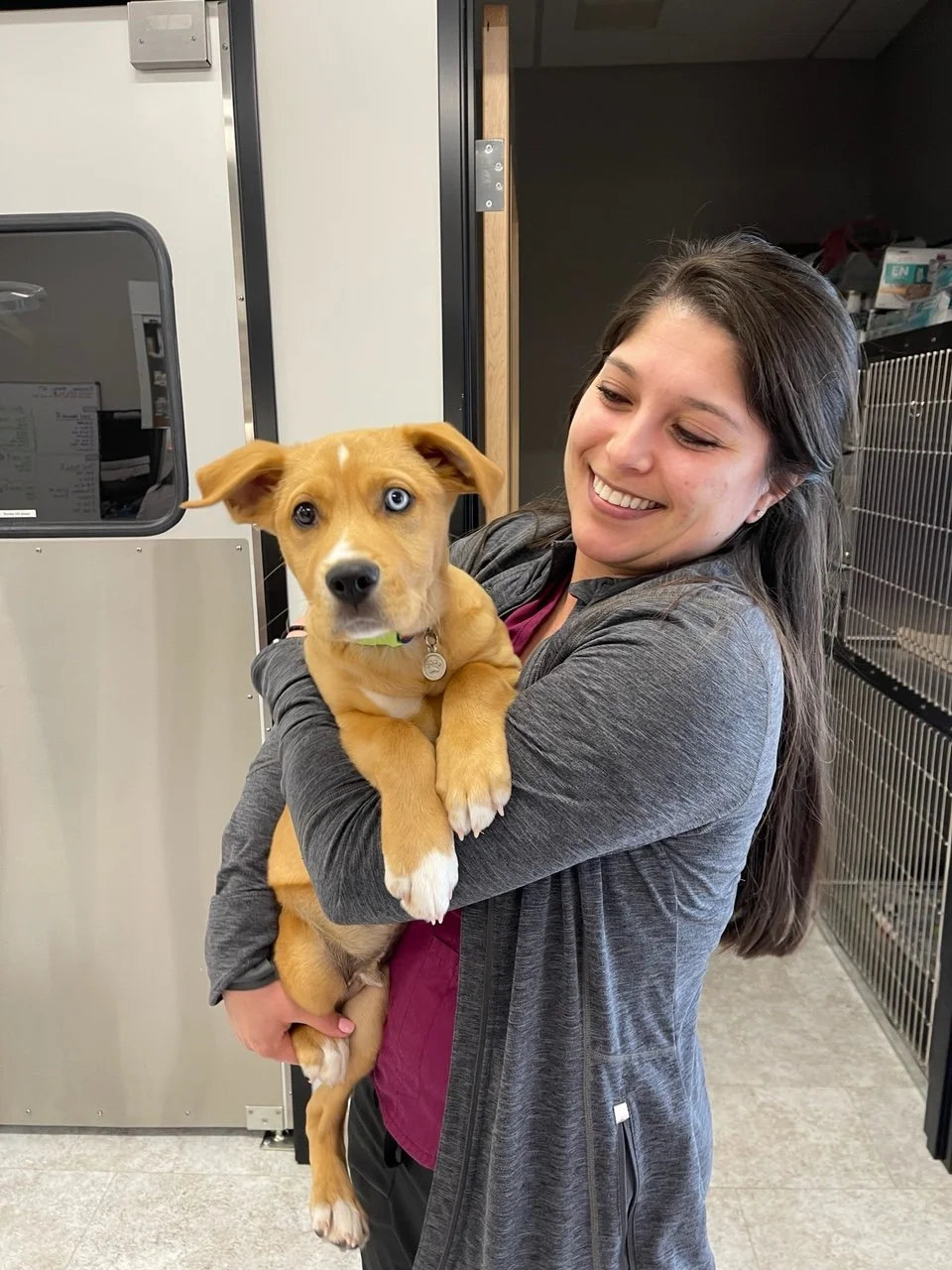 Meet the Staff at Nimbus Pet Hospital - Vet Clinic Tigard, OR 97223