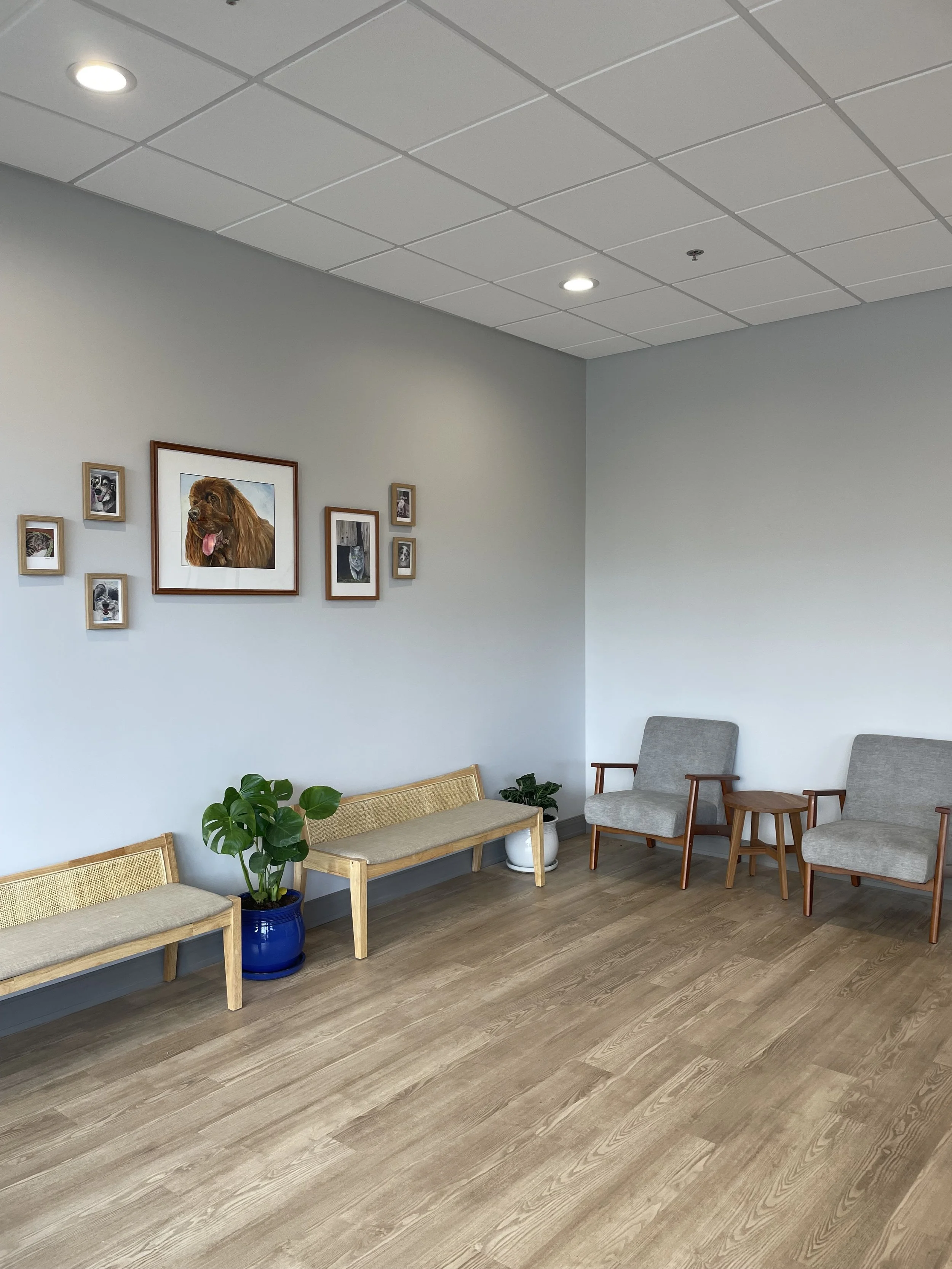 Vet Clinic Tigard - Vets Near Me 97223 - Nimbus Pet Hospital