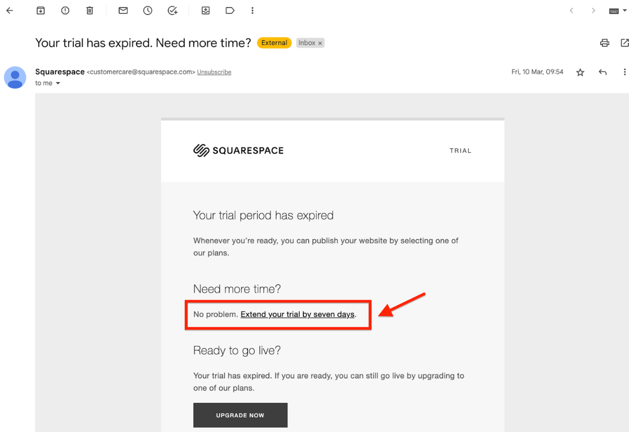 Is Squarespace Free? Simple Squarespace Pricing Guide 2025