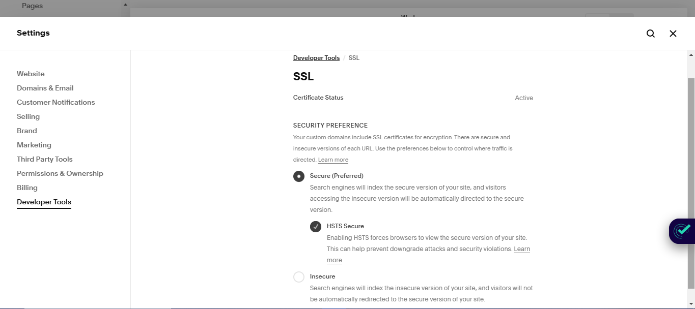 Set Up SSL Certificate Squarespace [Site Not Secure 2025]