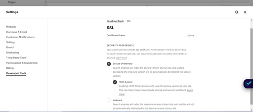 How to Set Up an SSL Certificate on Squarespace [2025 Guide]
