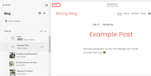 How to Blog on Squarespace (with Examples in 2025)