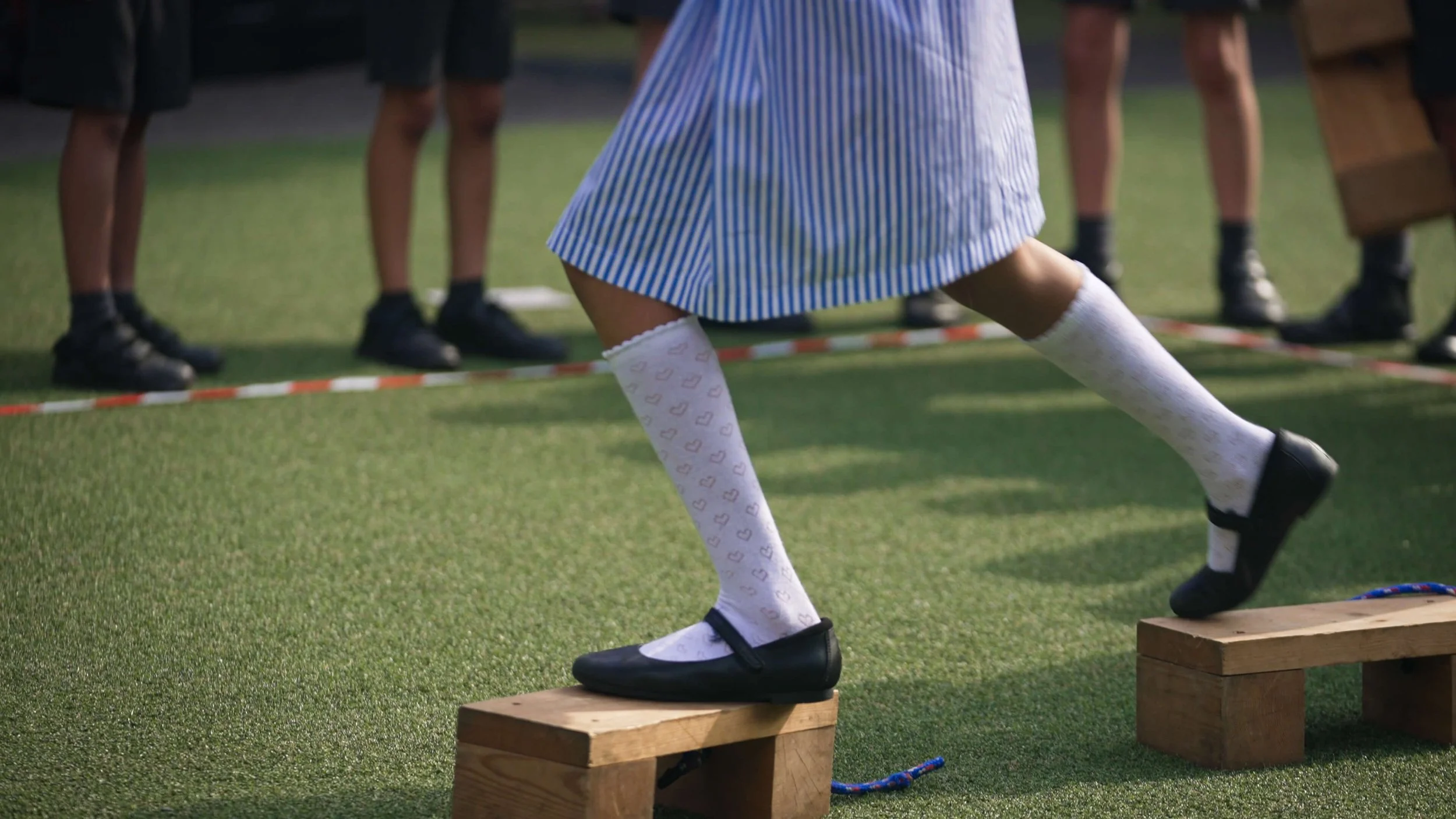 Primary Problem-Solvers — Hidden Leaders